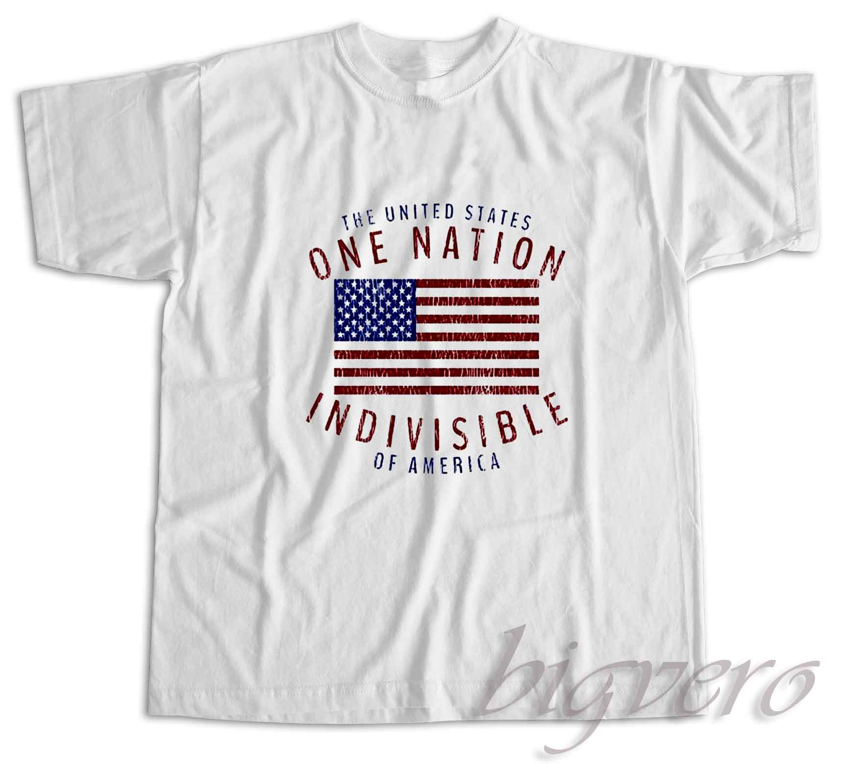 Shop! Indivisible T-Shirt - Unique Fashion Store Design | Big Vero