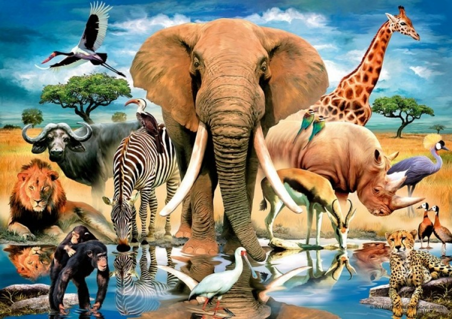 Read this Most Beloved Animals of the World